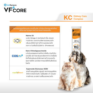 VF+Core: KC-th - บริษัท เว็ทซินโนว่า จำกัด