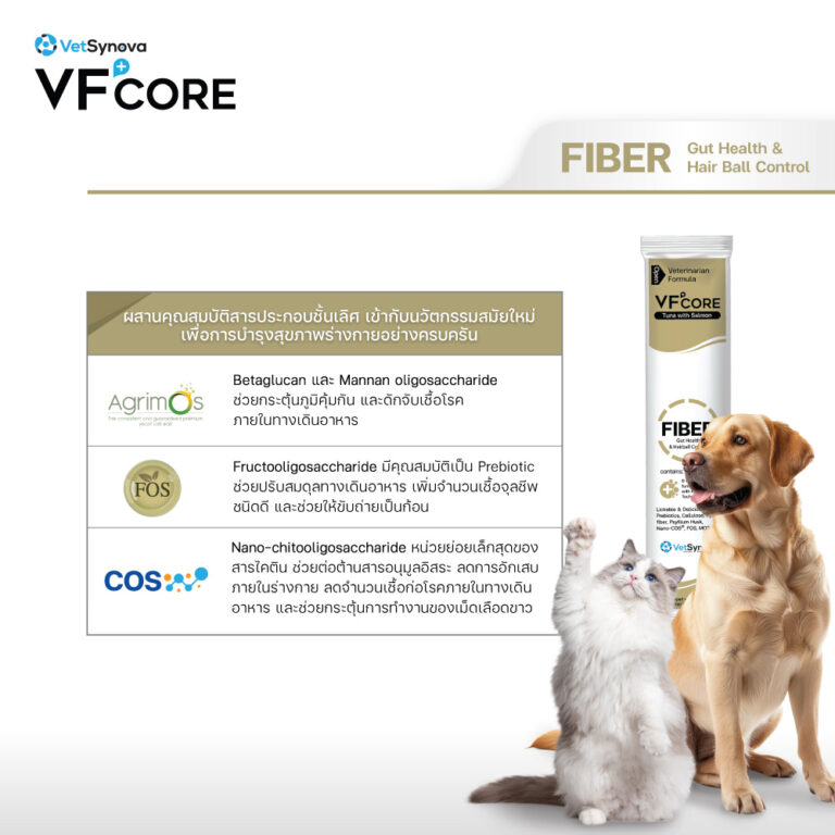 VF+Core: FIBER+ - บริษัท เว็ทซินโนว่า จำกัด