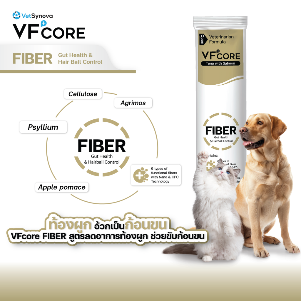 VF+Core: FIBER+ - บริษัท เว็ทซินโนว่า จำกัด