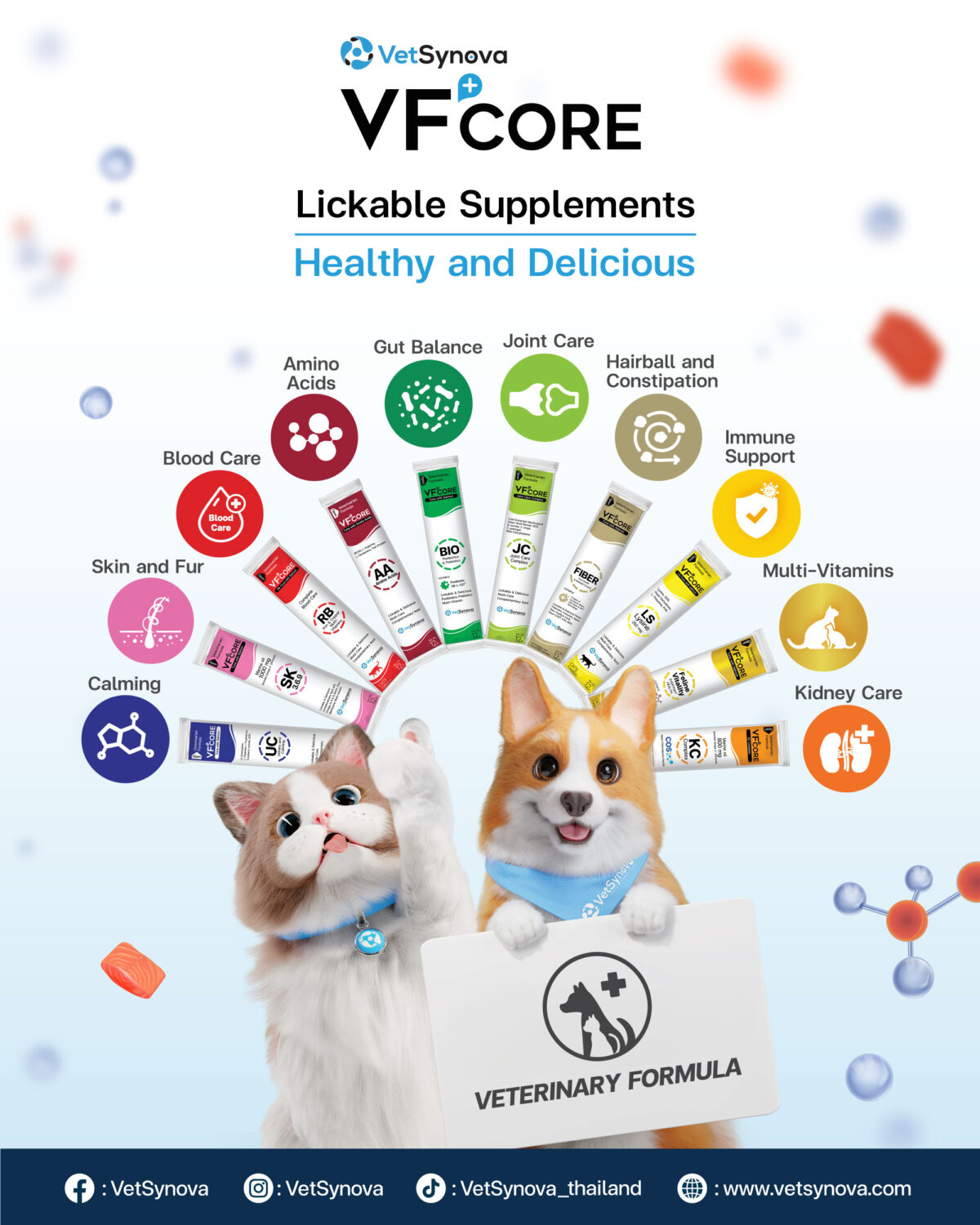 VF+ Core Product - บริษัท เว็ทซินโนว่า จำกัด